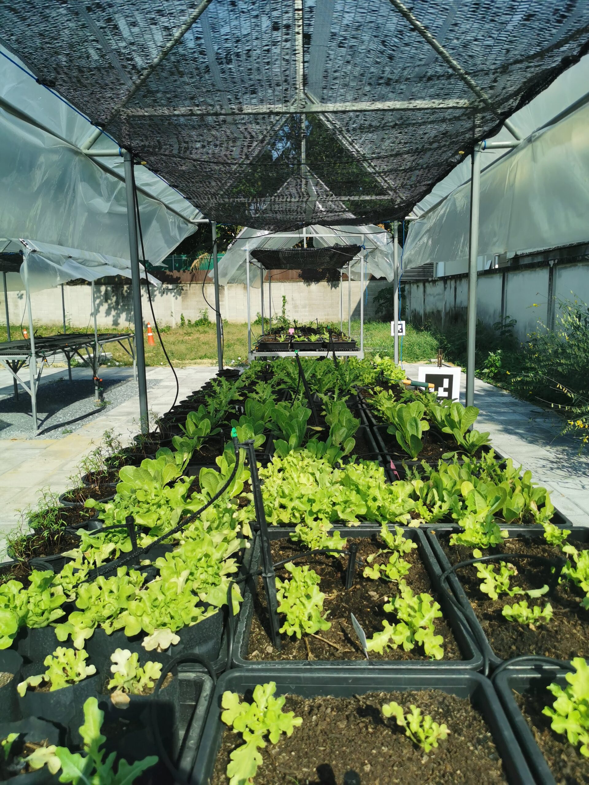 Raina Robofarm – Raina Robotech